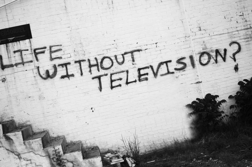 BRAIN STIMULATOR: LIFE WITHOUT TELEVISION